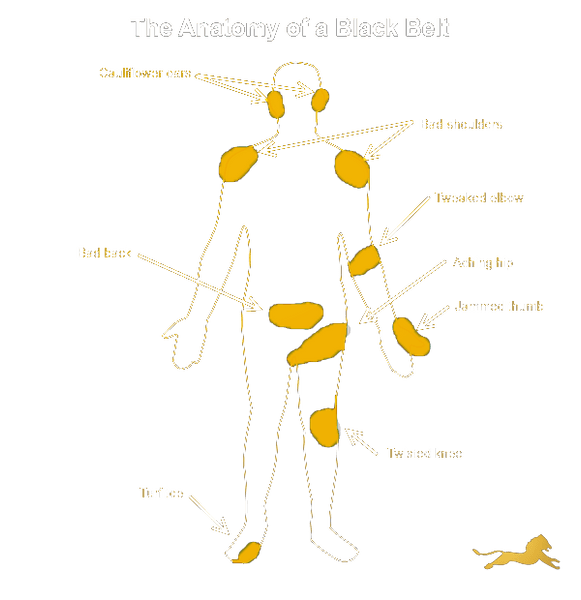 BJJ Athletes: 5 Best Joint Pain Supplements – GRIT Superfoods